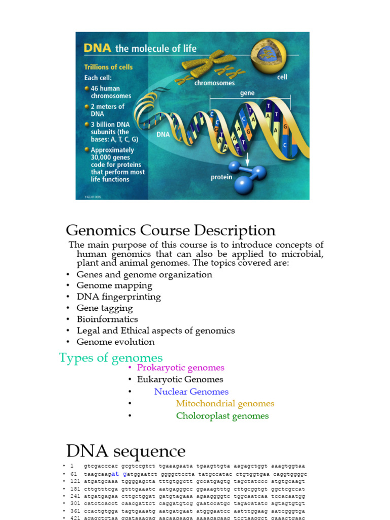 Introduction to Human Genomics Course | PDF