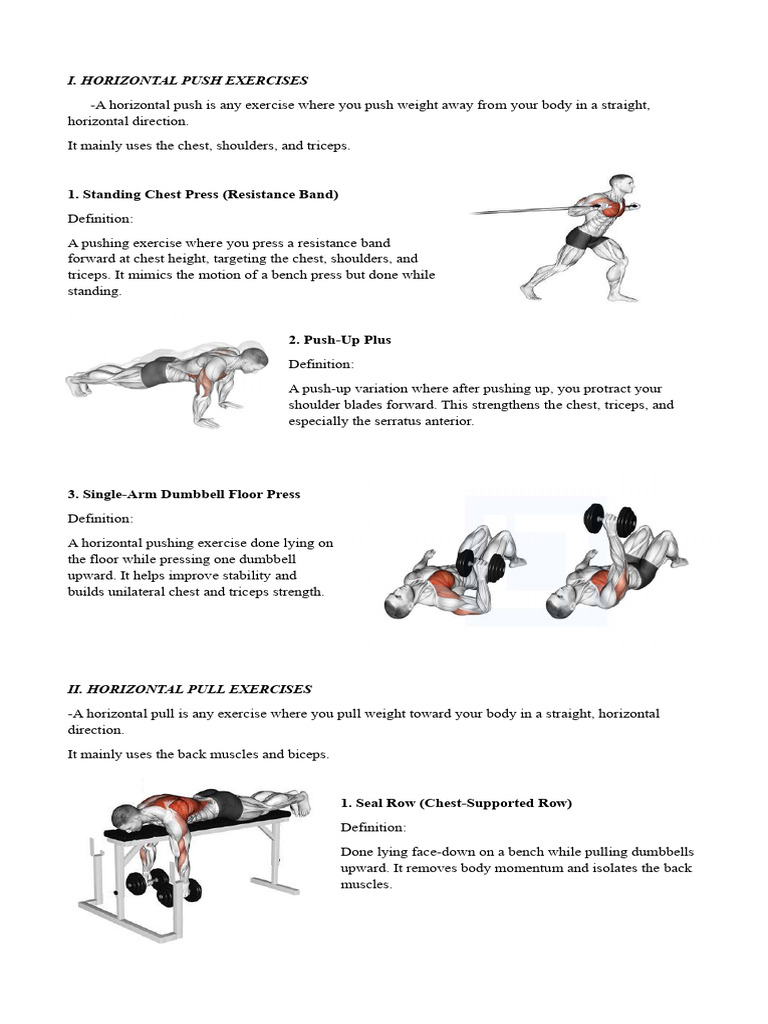 Essential Horizontal and Vertical Push/Pull Exercises | PDF ...