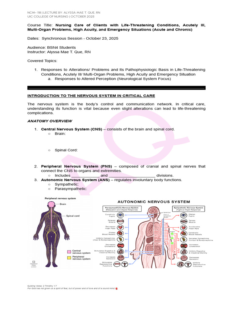 f2 Neuro System Handouts by Aq | PDF | Traumatic Brain Injury | Stroke