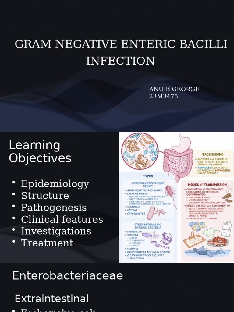 Gram-Negative Enteric Bacilli Infections | PDF