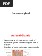 Functions and Composition of Succus Entericus | PDF | Digestive System ...