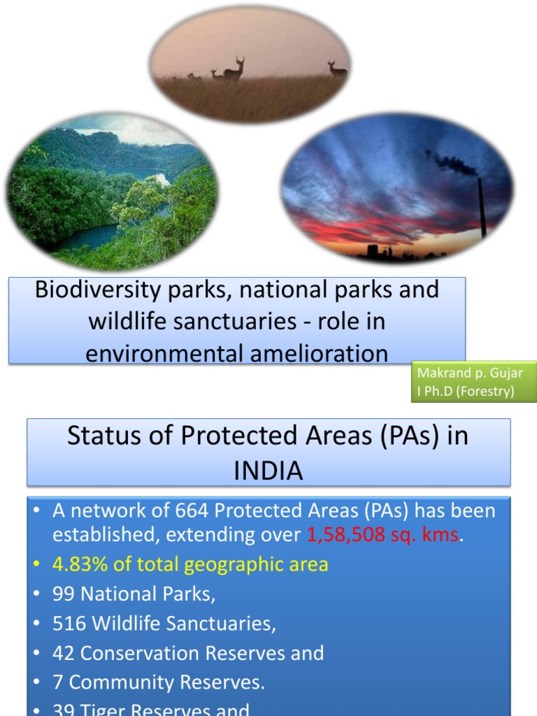 Role of Protected Areas in Biodiversity | PDF | Conservation Biology ...