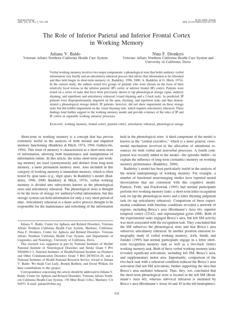 7.the Role of Inferior Parietal and Inferior Frontal Cortex | PDF ...