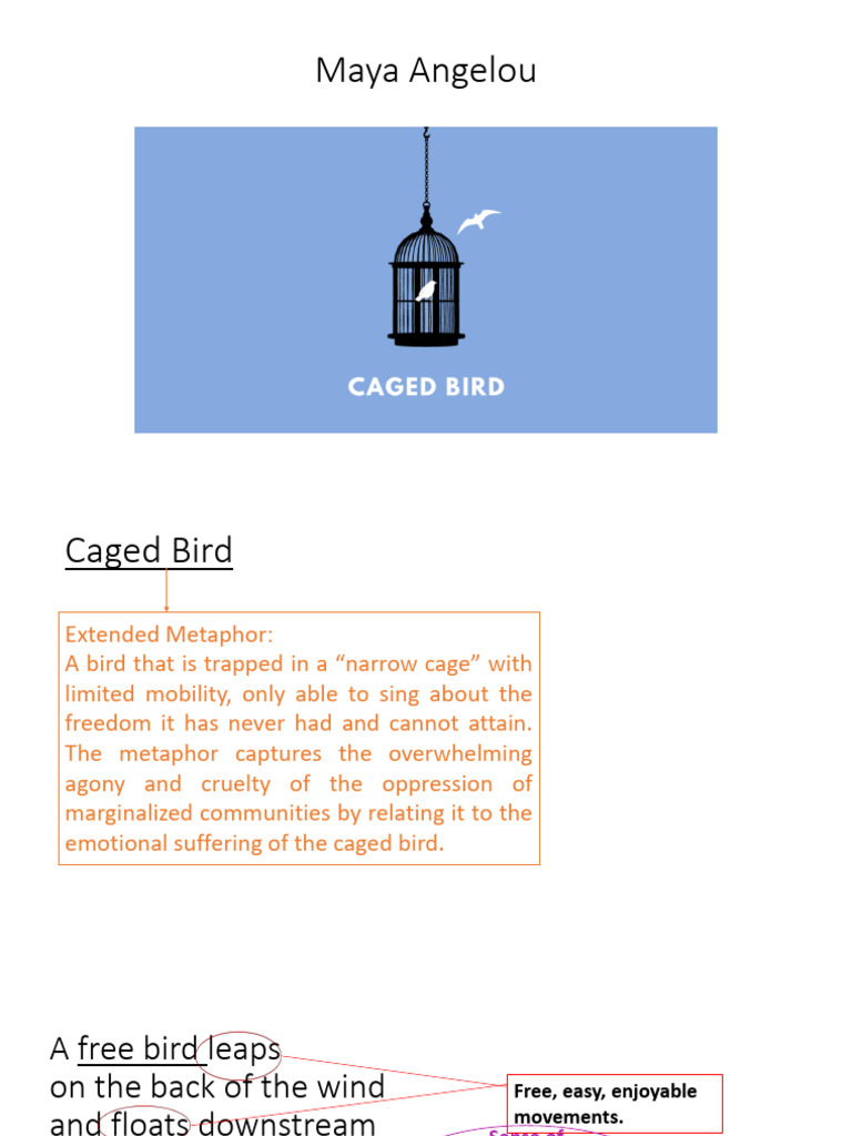 Caged Bird Maya Angelou | PDF