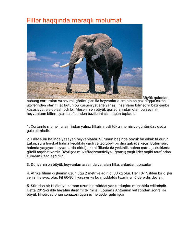 Filler | PDF