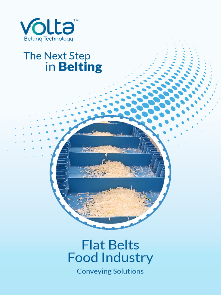 Flat Belts Food CAT504EN00 Ver.T. January.2025 Min | PDF | Belt ...