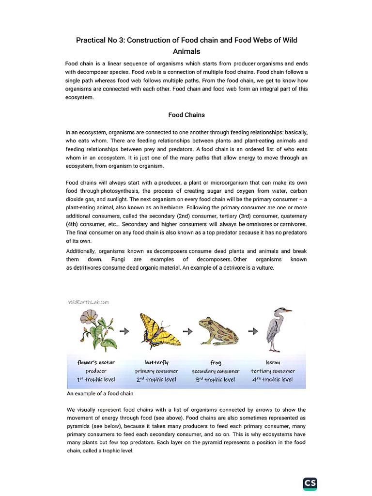 Practical No 3 Construction of Food Chain and Food Webs of Wild Animals ...