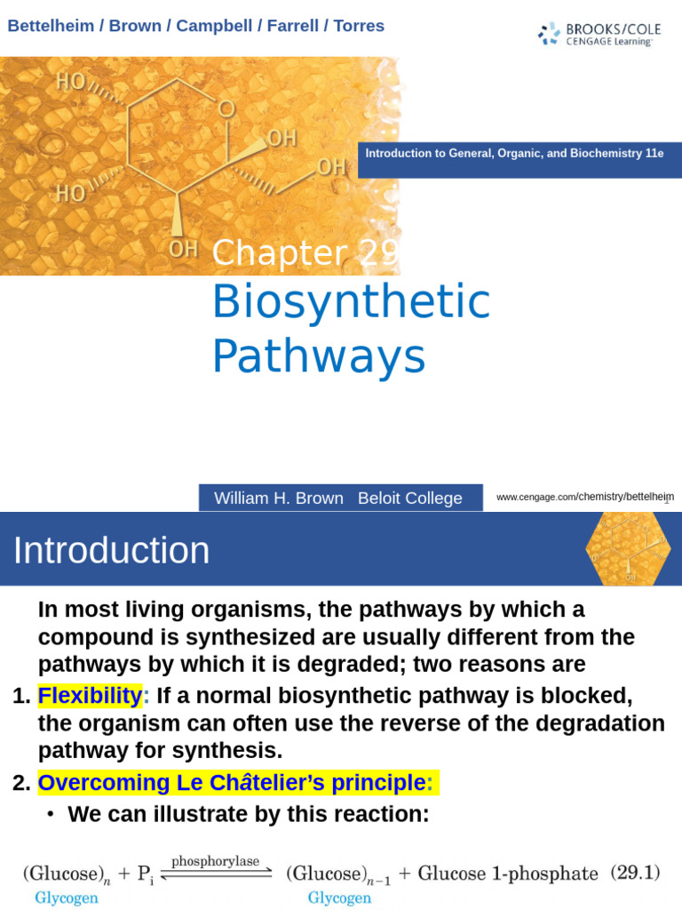 Biosynthetic Pathways | PDF | Biosynthesis | Pyruvic Acid