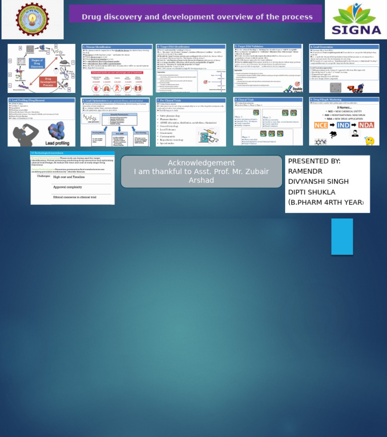 Drug Discovery Process Overview | PDF