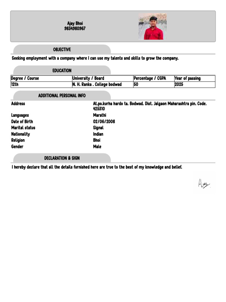 Ajay Bhoi Resume for Employment | PDF