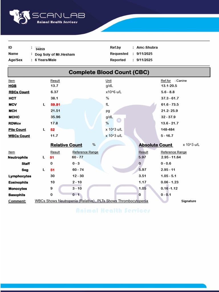Dog Soly of MR - Hesham | PDF | White Blood Cell | Clinical Medicine