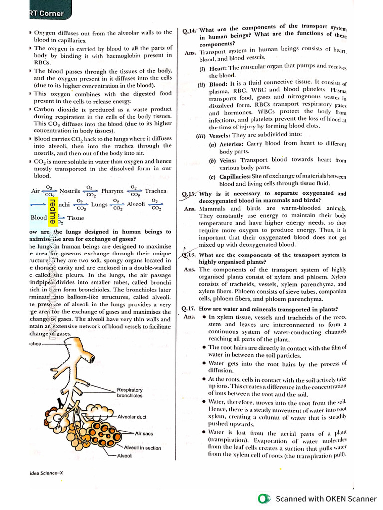 Life Prosess Notes | PDF