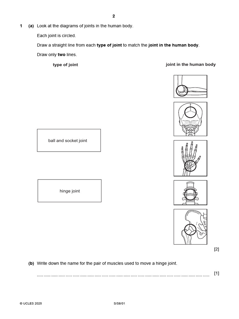 Science Progression Test Stage 8 2022 P2 (1) - 251124 - 213554 | PDF ...