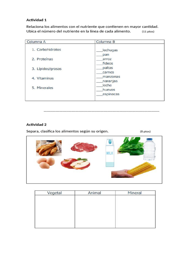 Clasificación y Nutrientes de Alimentos | PDF