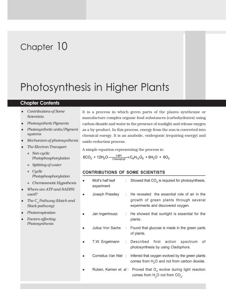 Med-RM Bot SP-2 Ch-10-Photosynthesis in Higher Plants | PDF ...