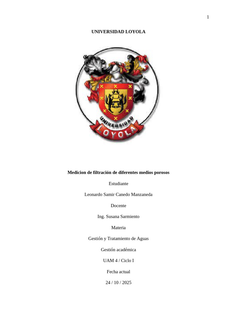 Informe, Medición de medios porosos | PDF | Agua | Filtración