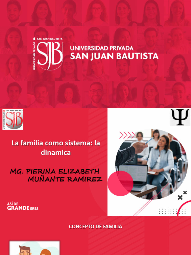 Dinámica Familiar como Sistema Social | PDF | Homeostasis | Sistema