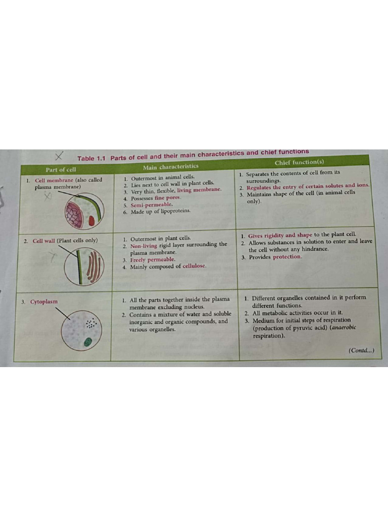 Bridge Course 8th Icse Biology | PDF