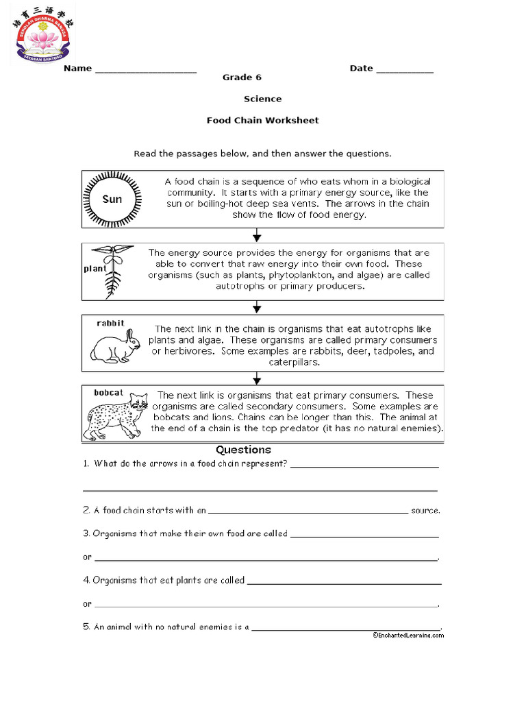 Food Chain Worksheet for Grade 6 Science | PDF