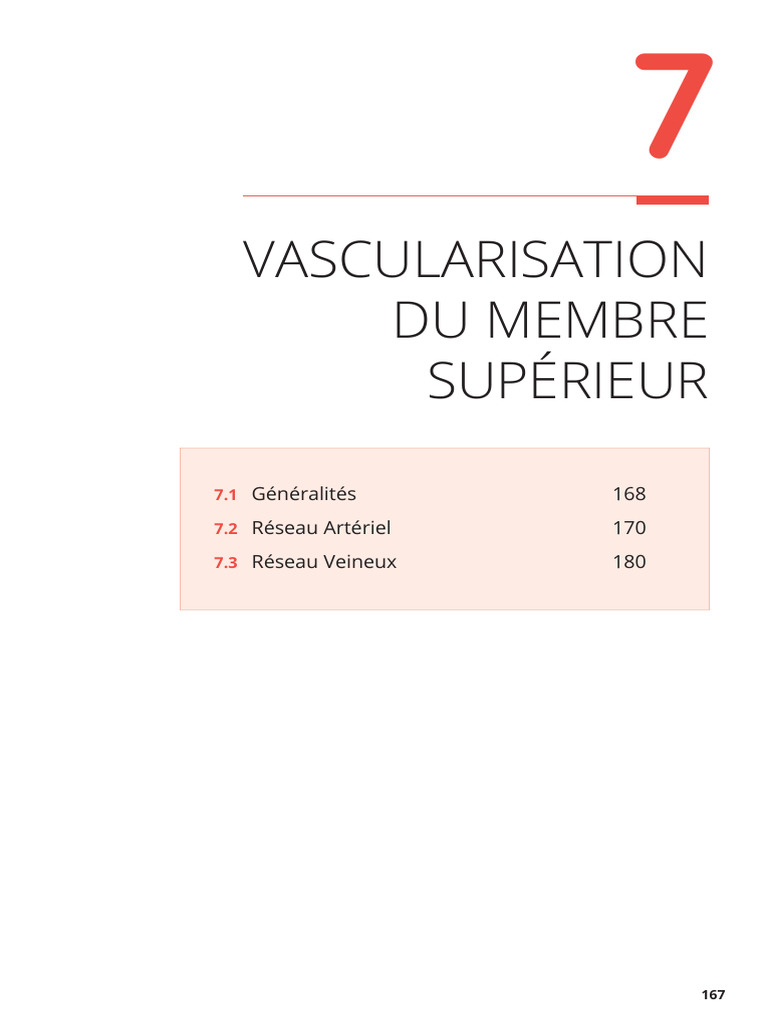 Vascularisation du membre supérieur | PDF | Main | Angiologie