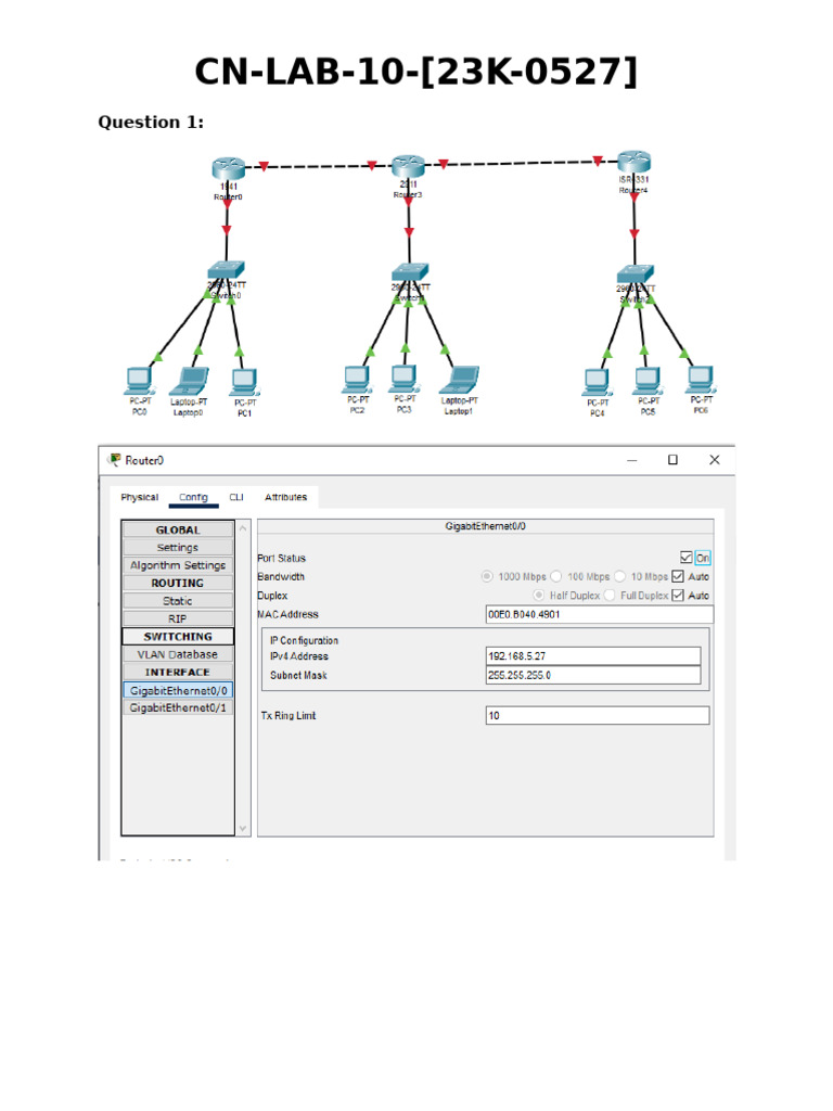 CN-LAB-10 Report Overview | PDF