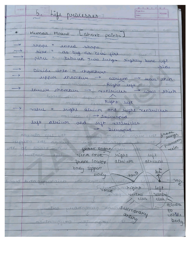 Std 10 Sci Ch 5(E.M.) | PDF