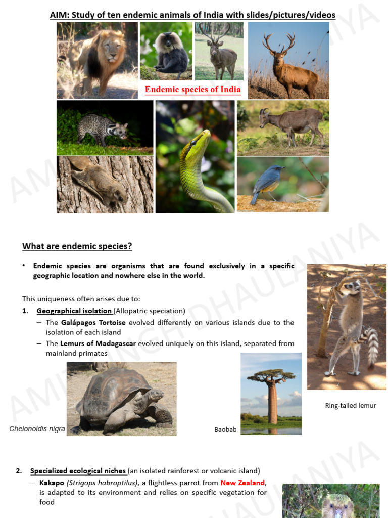 Endemic Species of India | PDF | Natural Environment | Ecology