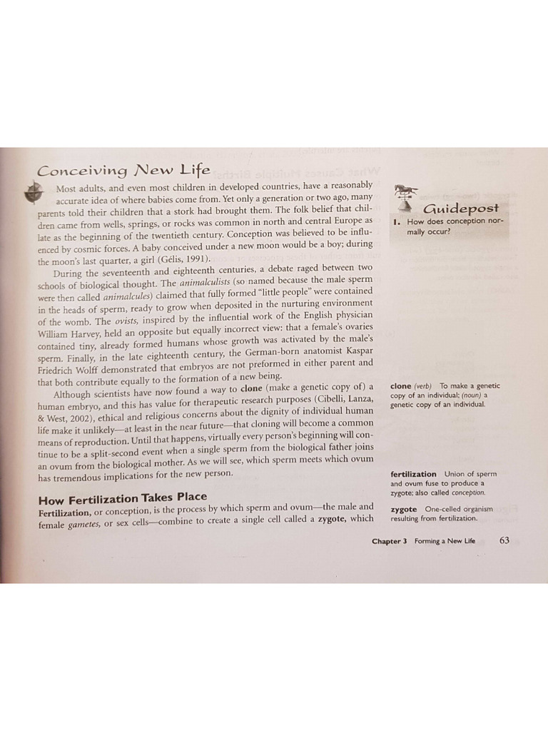 Module 2 - Material | PDF