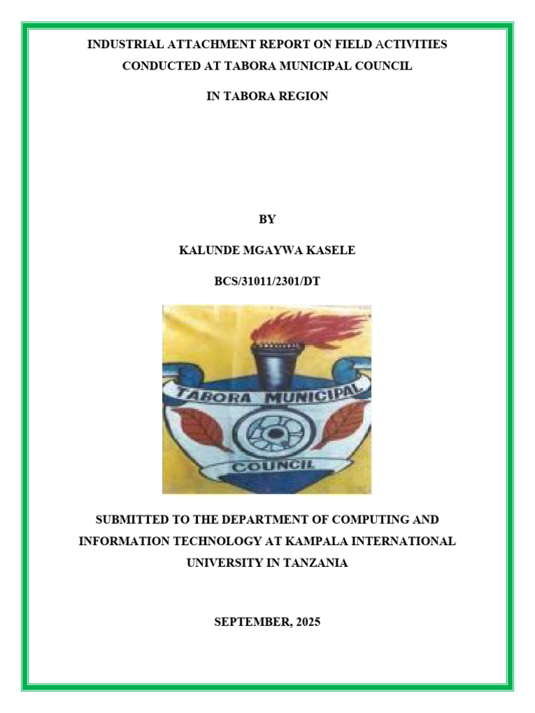Tabora Municipal Council ICT Internship Report | PDF | Computer ...