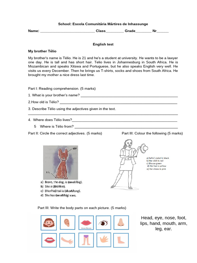 English Test: My Brother Télio | PDF