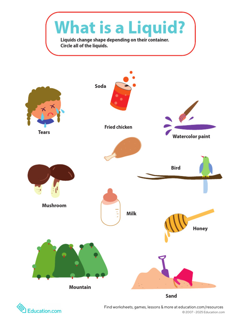 Identifying Different Liquids Worksheet | PDF