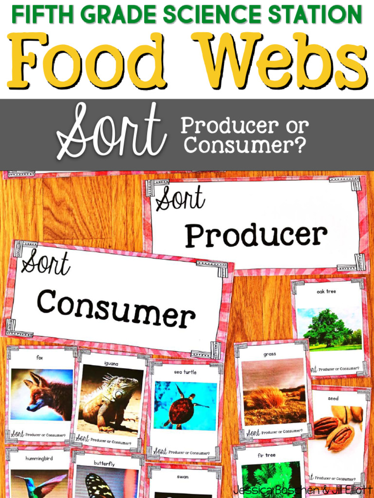Fifth Grade Food Webs Science Station | PDF | Foods | Plants