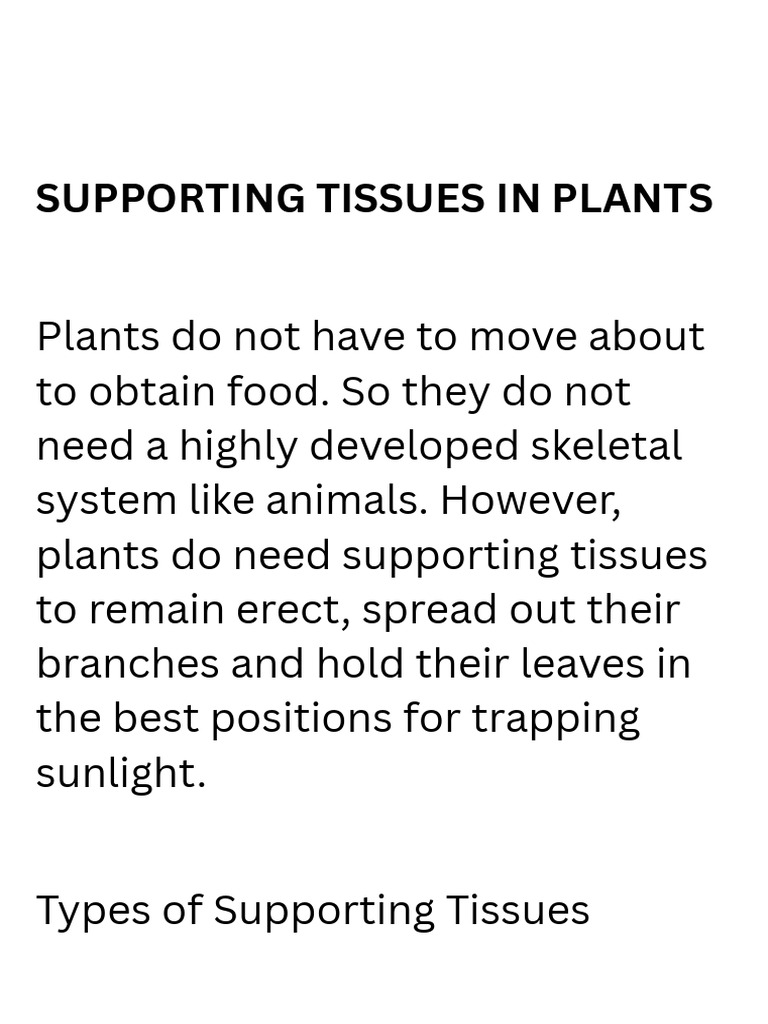 Supporting Tissues in Plants - 20251127 - 165320 - 0000 | PDF | Plant ...
