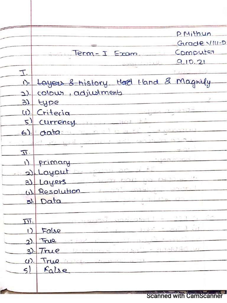 Mithun Computer Term I Answer Paper | PDF