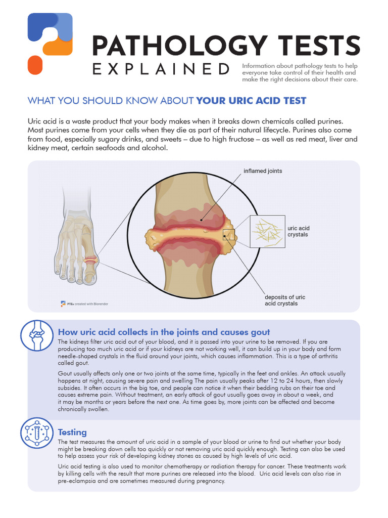 Understanding Uric Acid Testing and Gout | PDF | Gout | Clinical Medicine