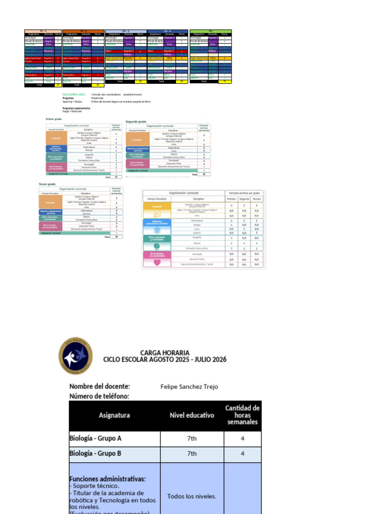 Propuesta Carga Horaria Docentes A25j26 Pdf Ciencias Naturales