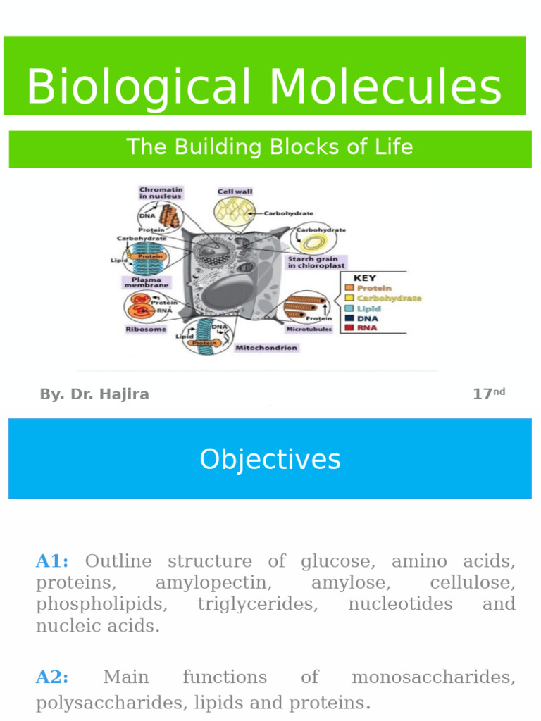 Carbs Proteins Lipids Cholestrol | PDF | Carbohydrates | Proteins