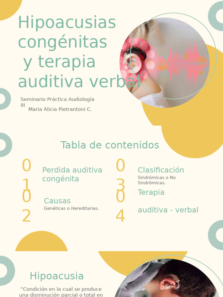 Seminario Práctica Audio - H.C Terapia Auditiva Verbal | PDF ...