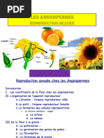 Le Carpelle : Organe des Angiospermes | PDF | Fruit | Embryon