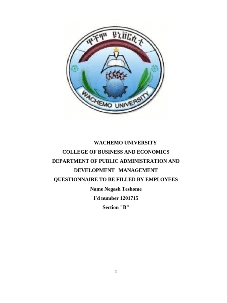 Negash Questionnaire | PDF