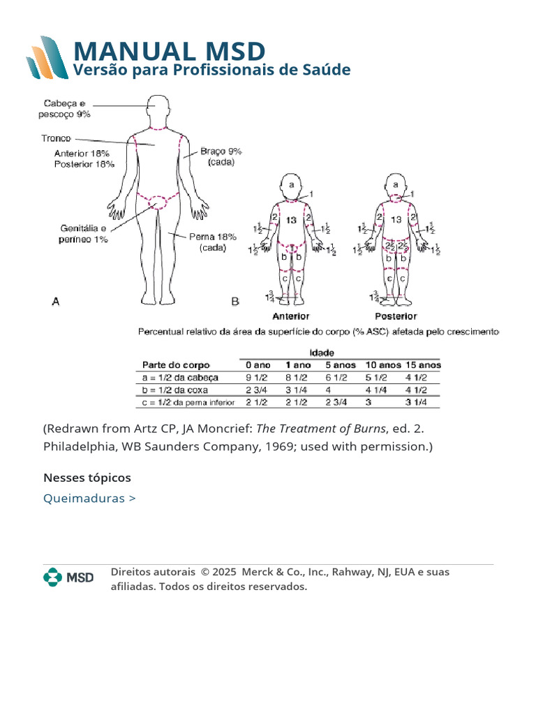 Diagrama de Lund-Browder | PDF