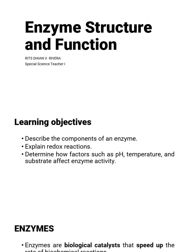 BM5 - Enzyme Structure and Function | PDF | Enzyme | Active Site
