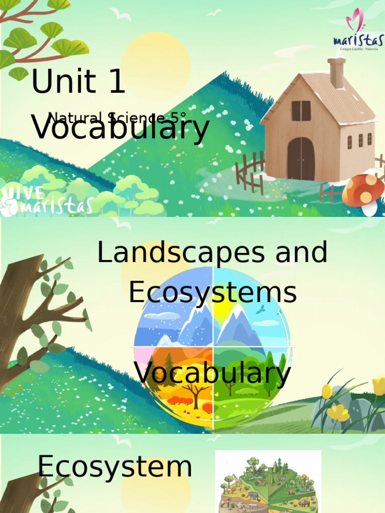 Social Unit 1 Vocabulary | PDF