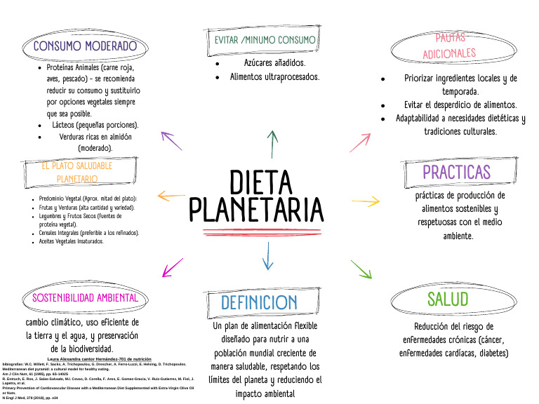 Mapa Conceptual Dieta Planetaria | PDF | Alimentos | Dieta