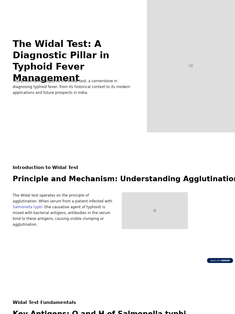 The Widal Test A Diagnostic Pillar in Typhoid Fever Management | PDF ...