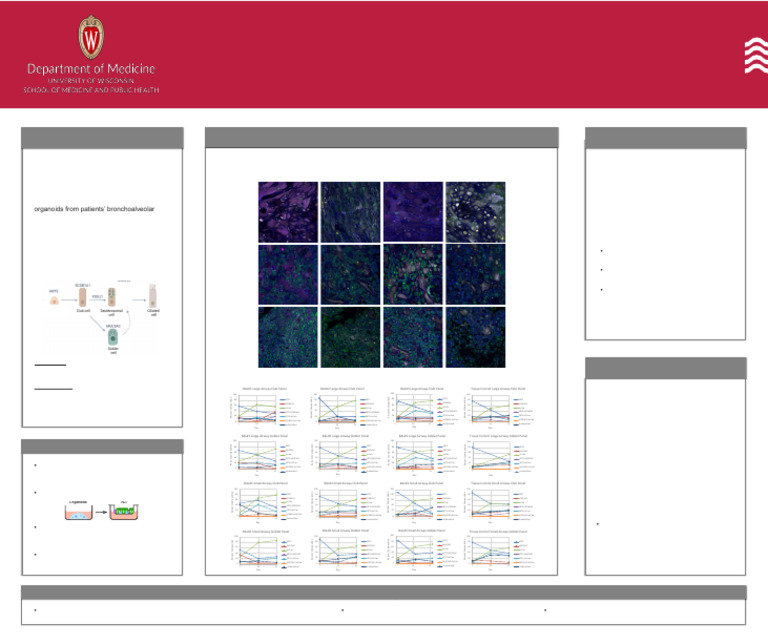 A New Approach To Lung Organoids: BAL Fluid and Air-Liquid Interface ...