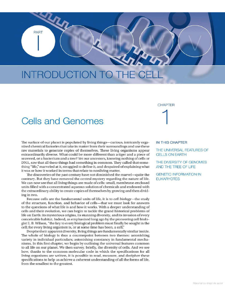Molecular Biology of The Cell | PDF