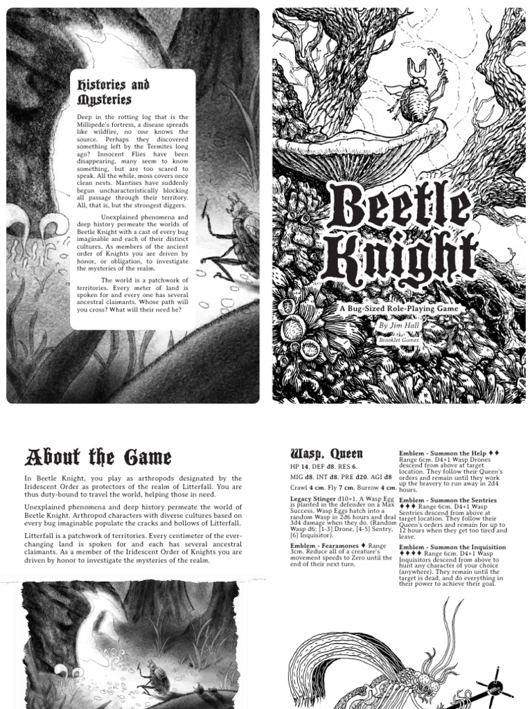 Beetle Knight (Booklet) v6 | PDF | Dice | Zoology