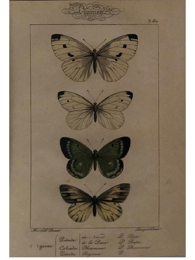 CS PDF 2024-09-14 17.38.19 | PDF