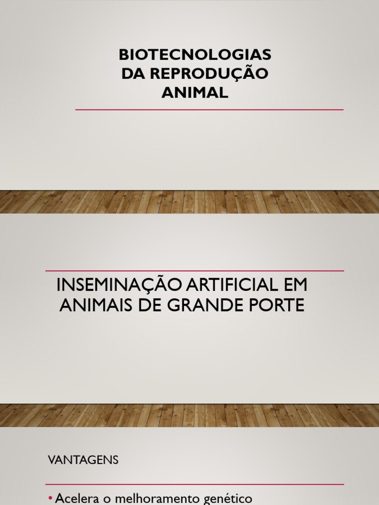 Combo - Insemina O.T.E | PDF | Gado | Sêmen